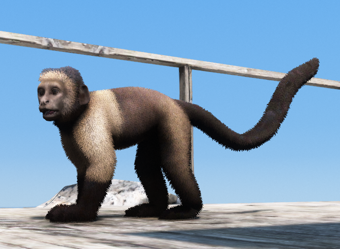 Future Store | Capuchin Monkey