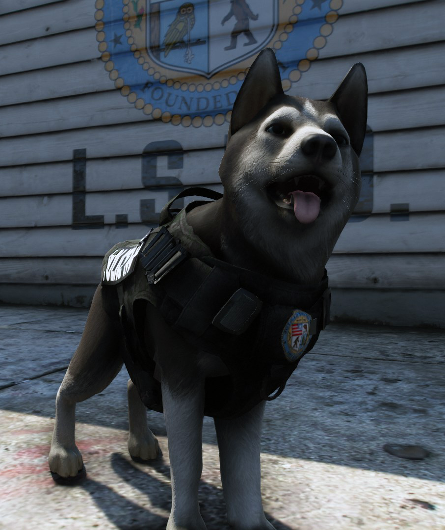 Future Store | Husky K9