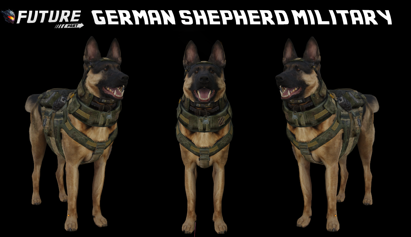 Future Store | German Shepherd Military