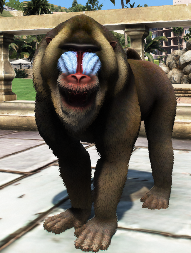 Future Store | Mandrill Monkey