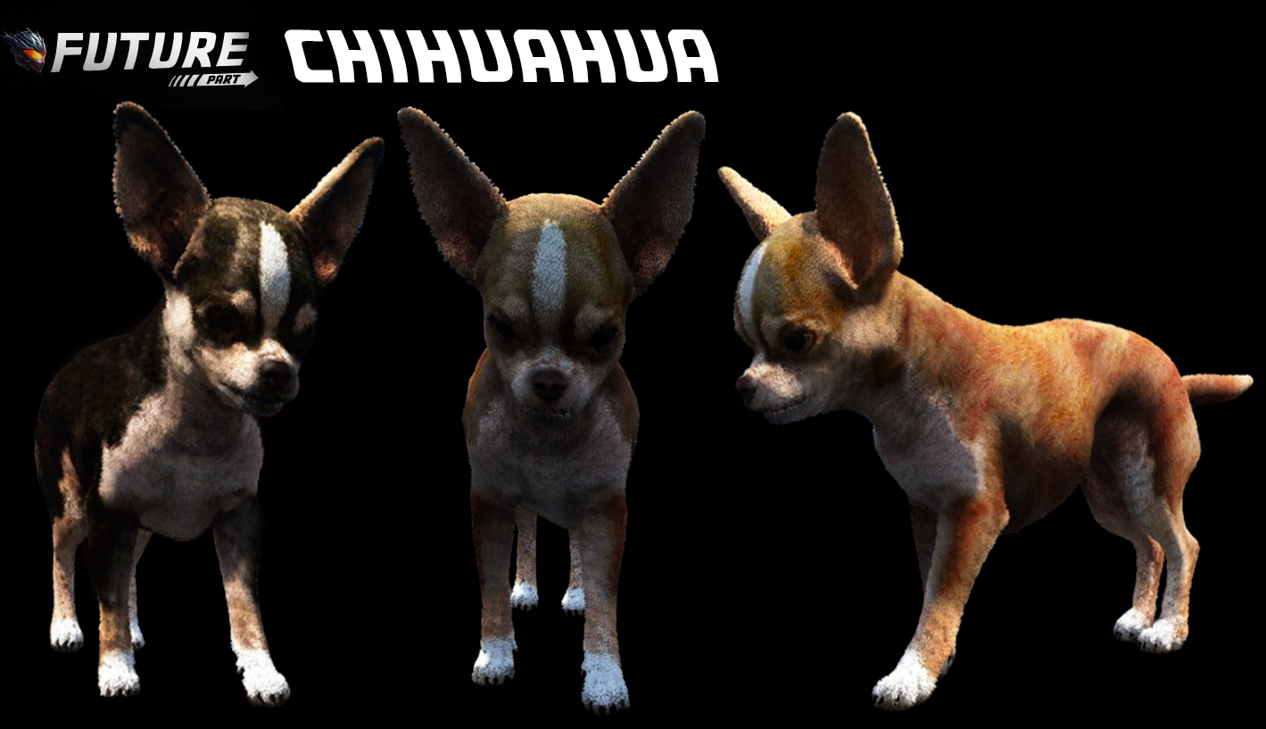 Future Store | Chihuahua