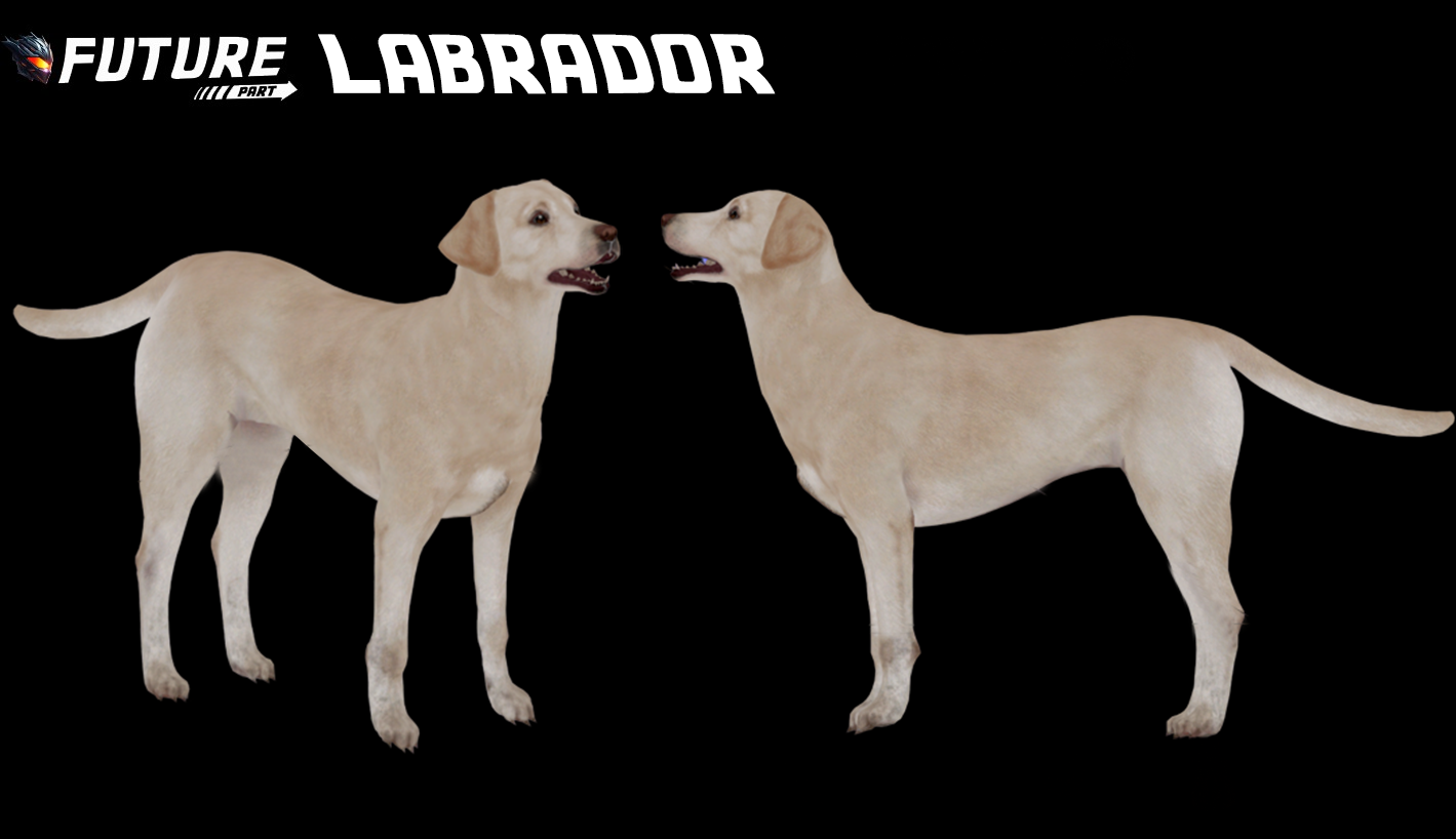 Future Store | Labrador