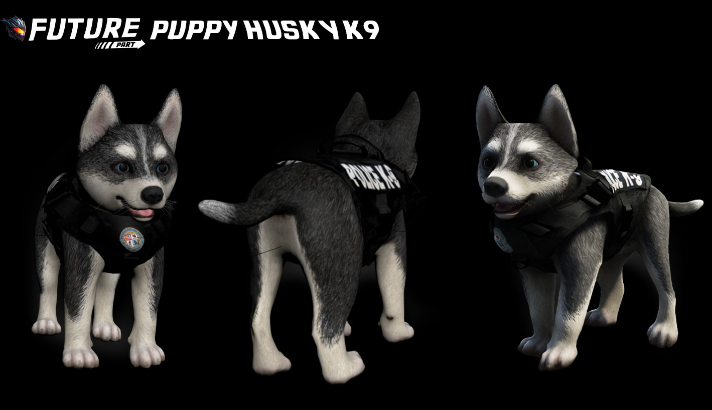 Future Store | Puppy Husky K9