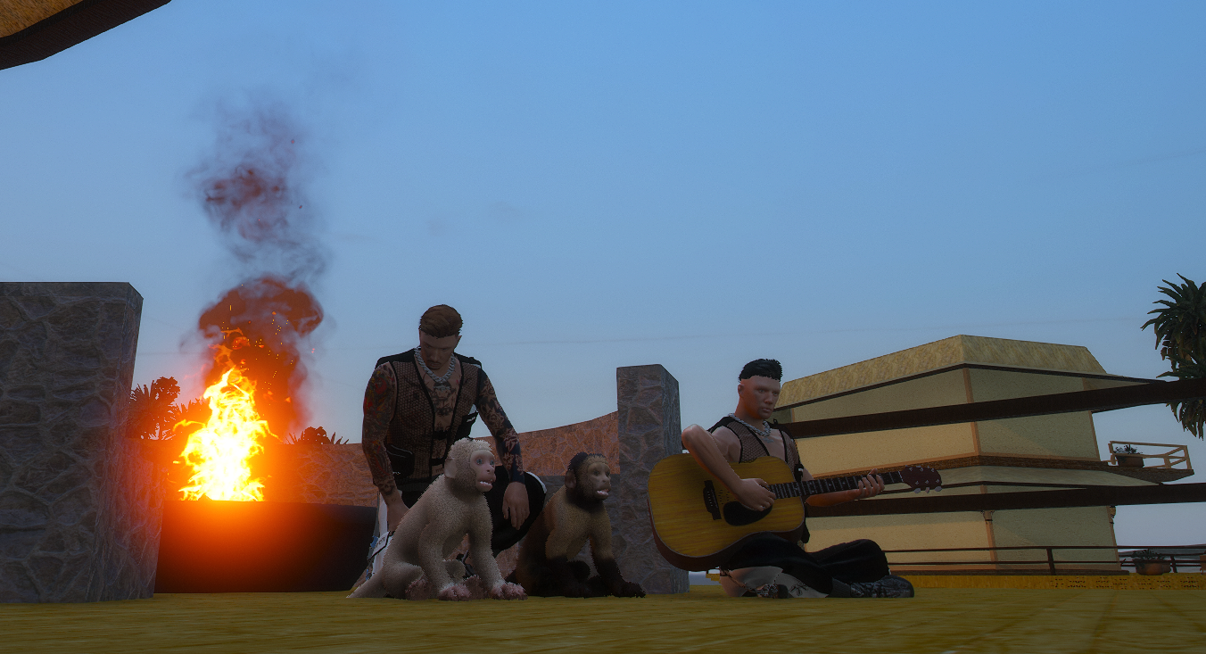 Future Store | Capuchin Monkey