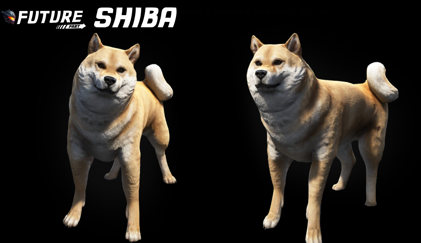Future Store | Shiba