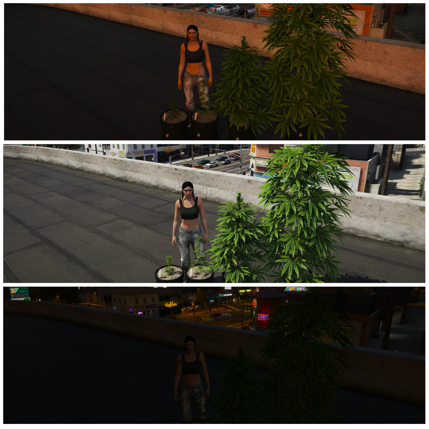 Mrs. BzZz | Colored weed 2