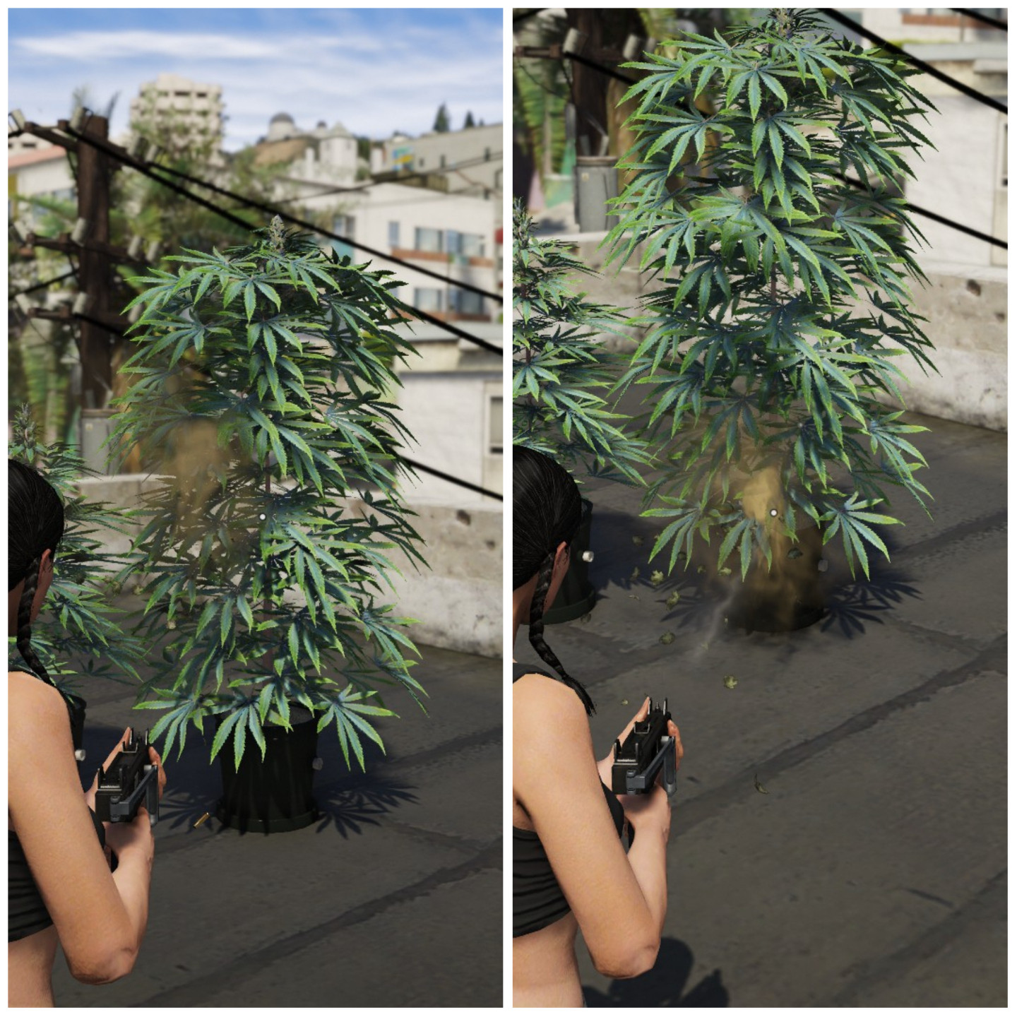 Mrs. BzZz | Colored weed 2