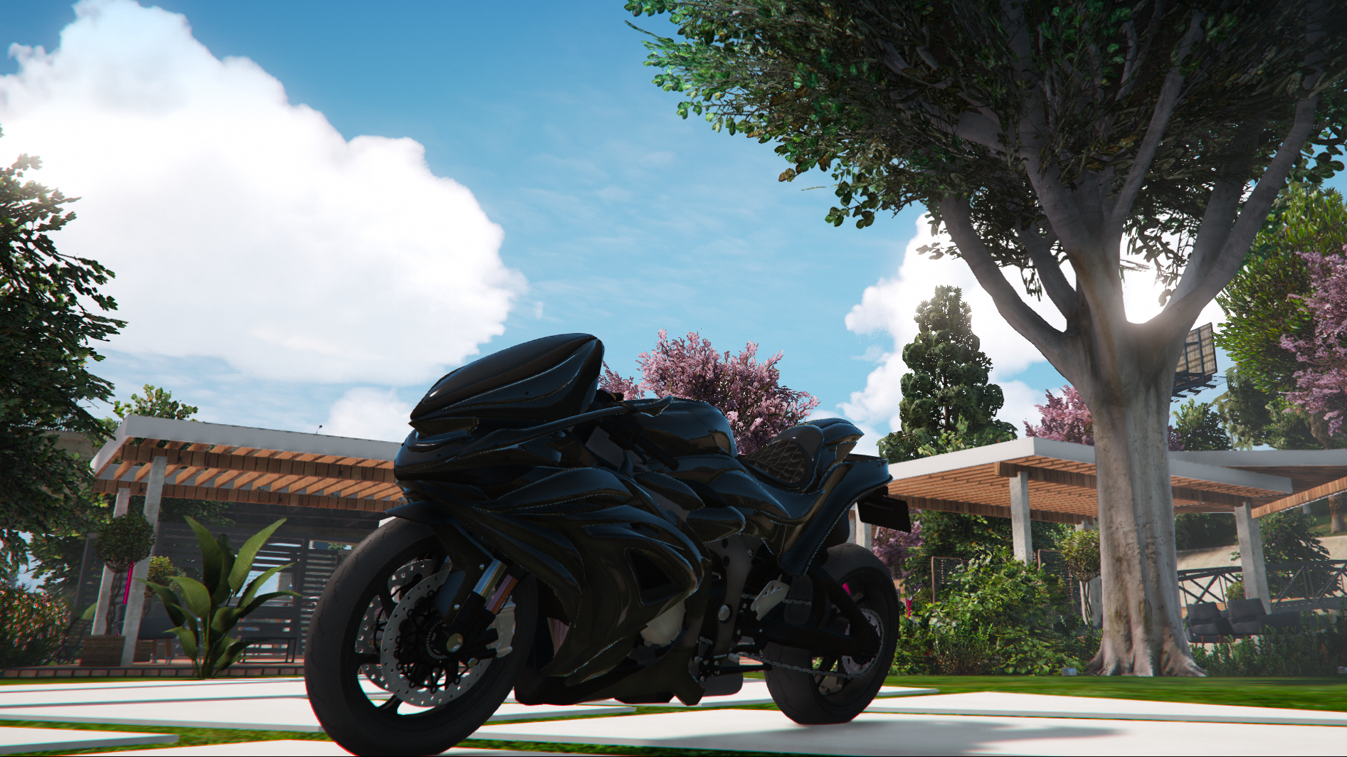 VersCity | 204sCaelifera