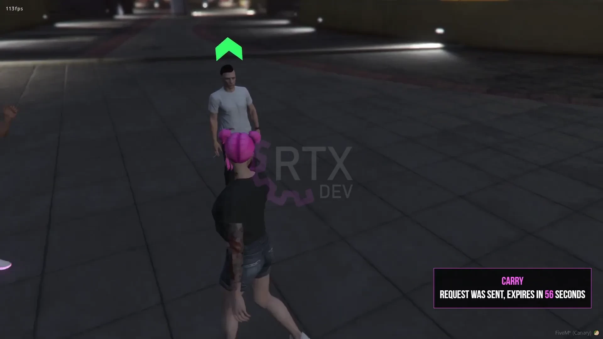 Carry | Retronix Development | Best FiveM Scripts & Maps