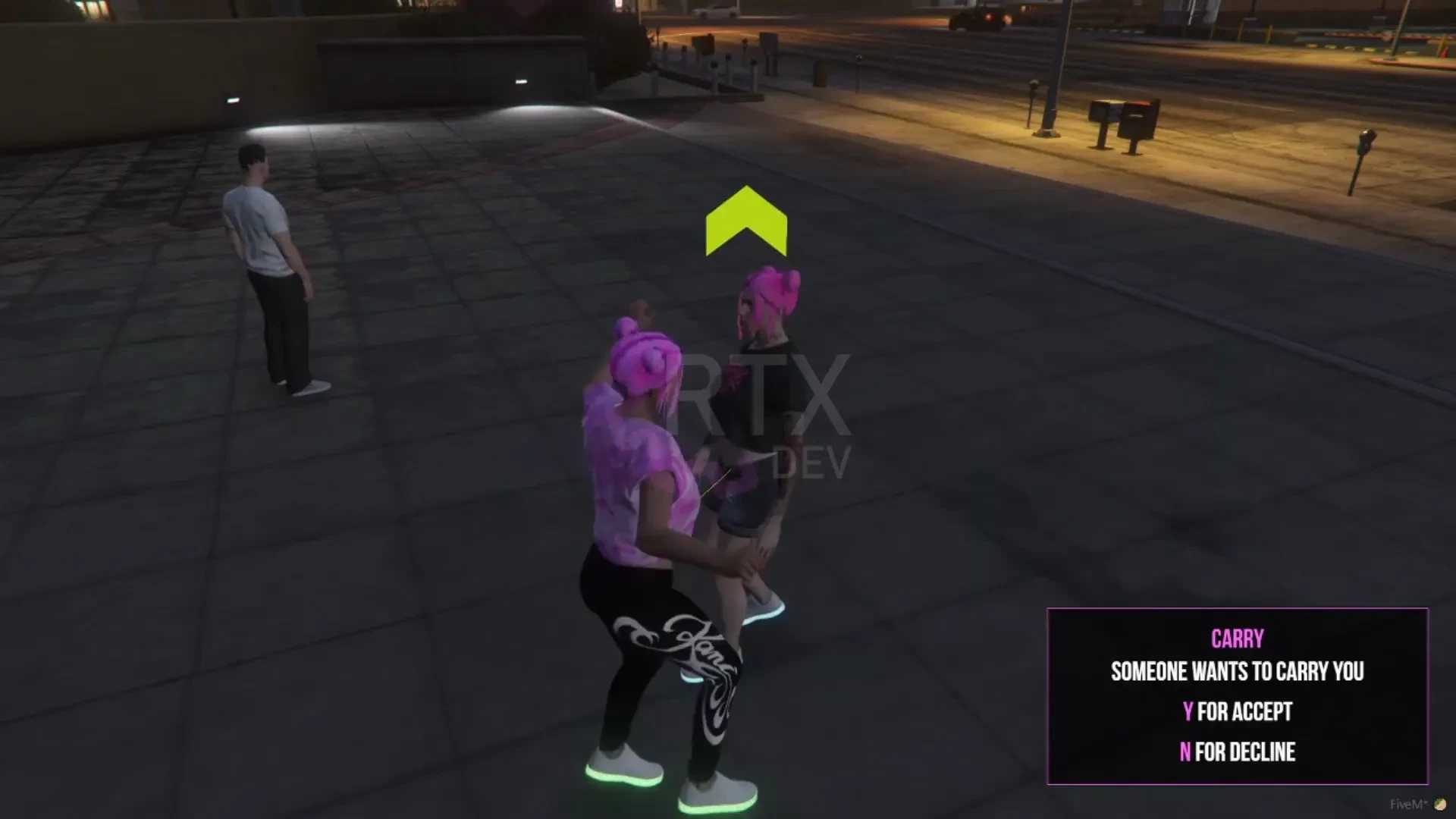 Carry | Retronix Development | Best FiveM Scripts & Maps