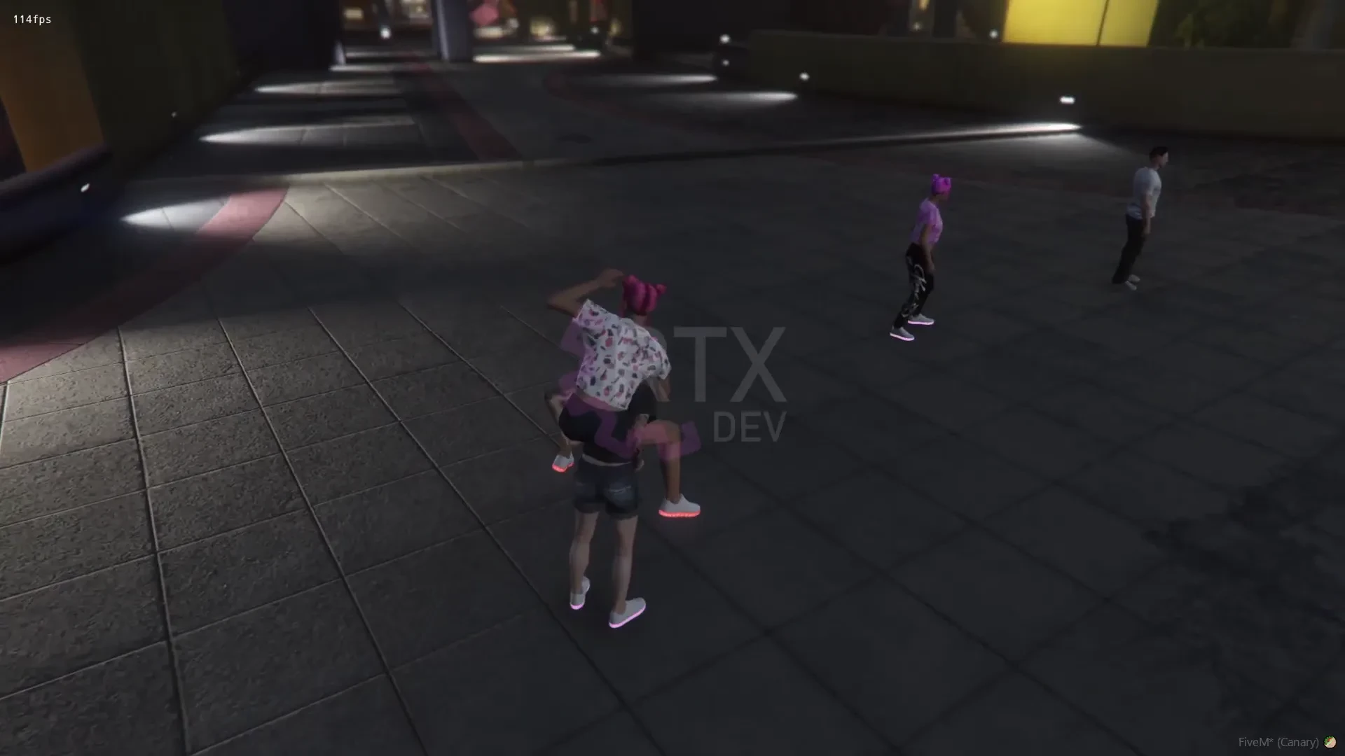 Carry | Retronix Development | Best FiveM Scripts & Maps