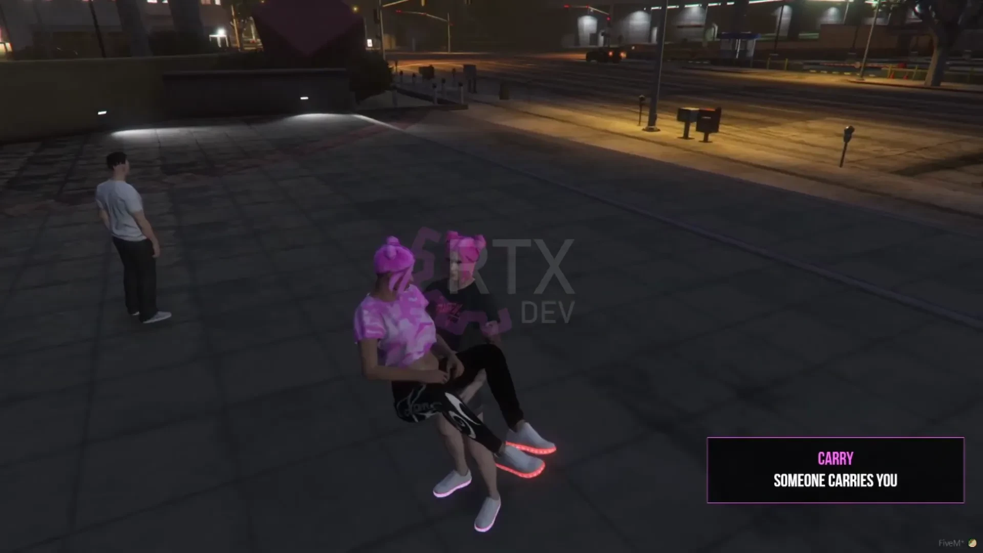 Carry | Retronix Development | Best FiveM Scripts & Maps