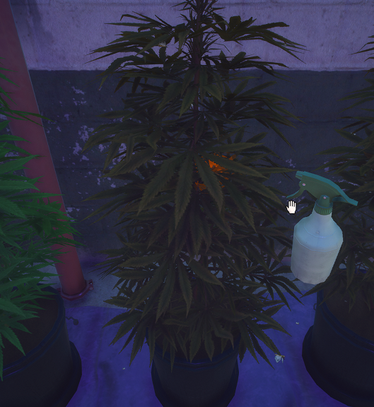 Weed Production Script for FiveM | KuzQuality