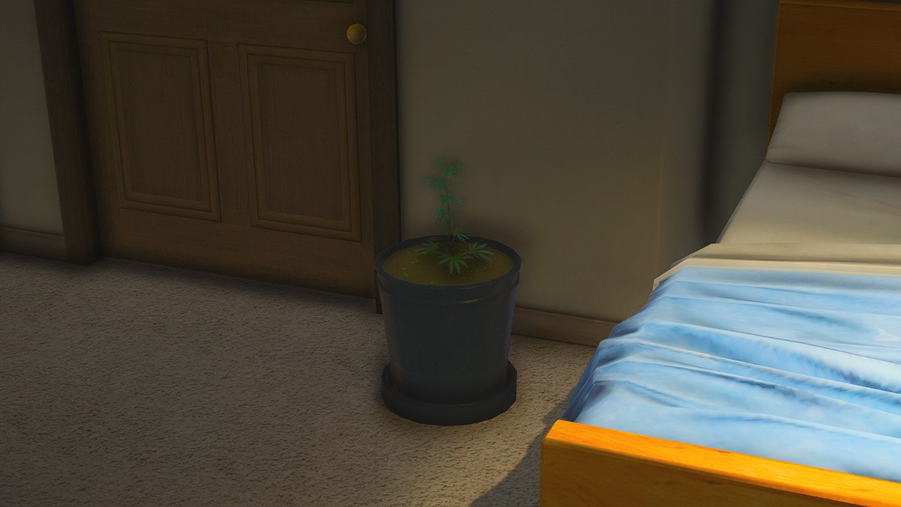 Weed Production Script for FiveM | KuzQuality