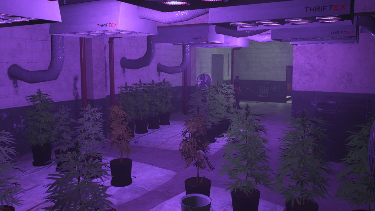 Weed Production Script for FiveM | KuzQuality